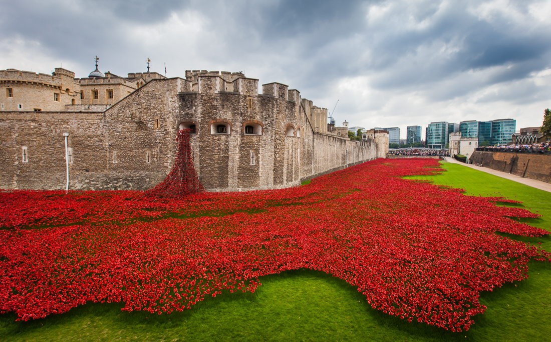 Poppies at the Tower of London | Becci's blog